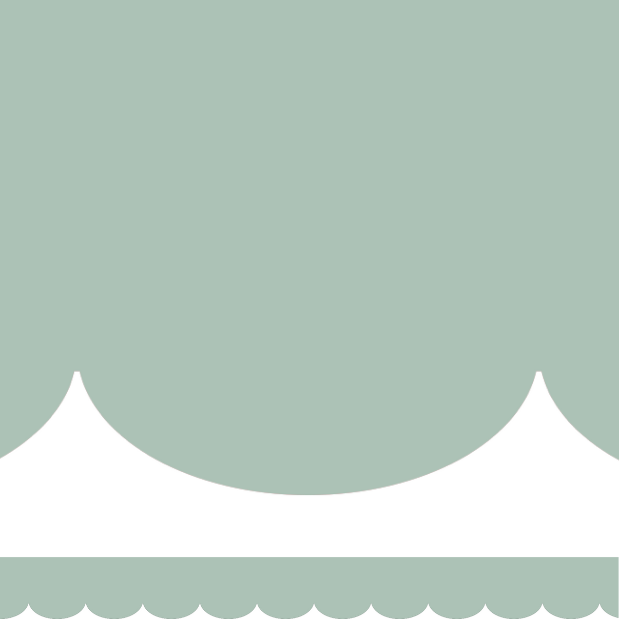 Plain sage green border scalloped (10m roll) – Classy Classrooms